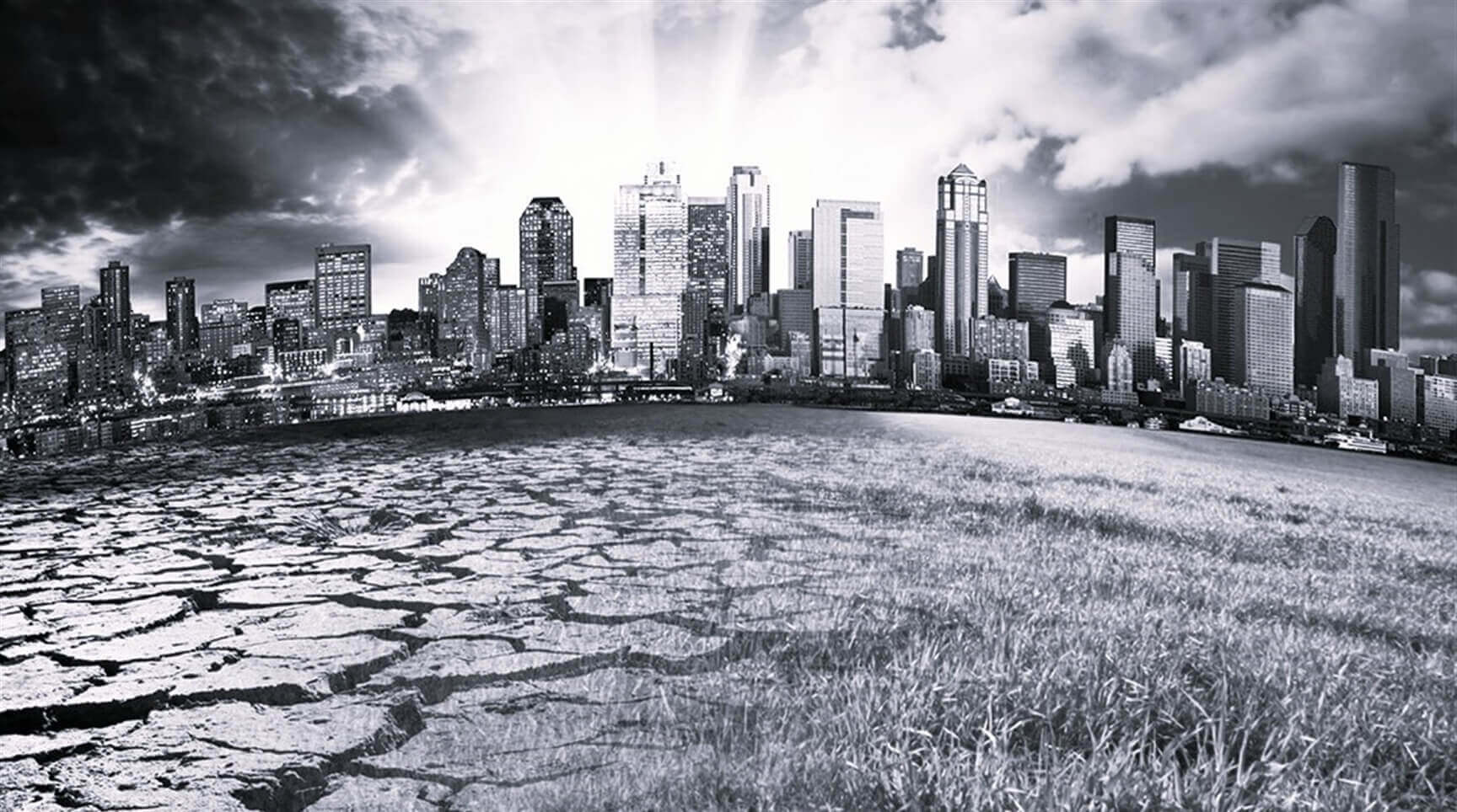 Ark Energy • Ark Energy