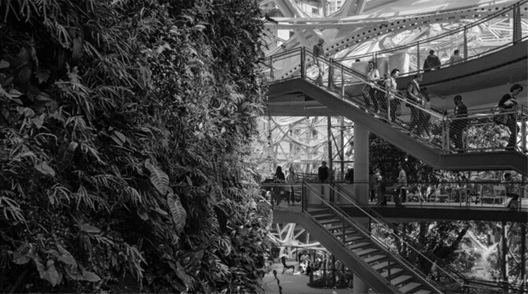 Ark Energy • Ark Energy